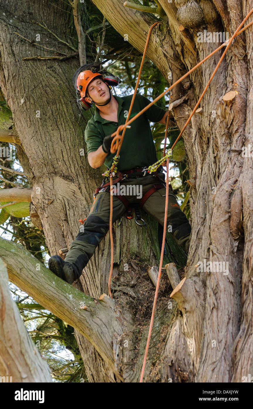 The Husqvarna Garden High Resolution Stock Photography and Images - Alamy