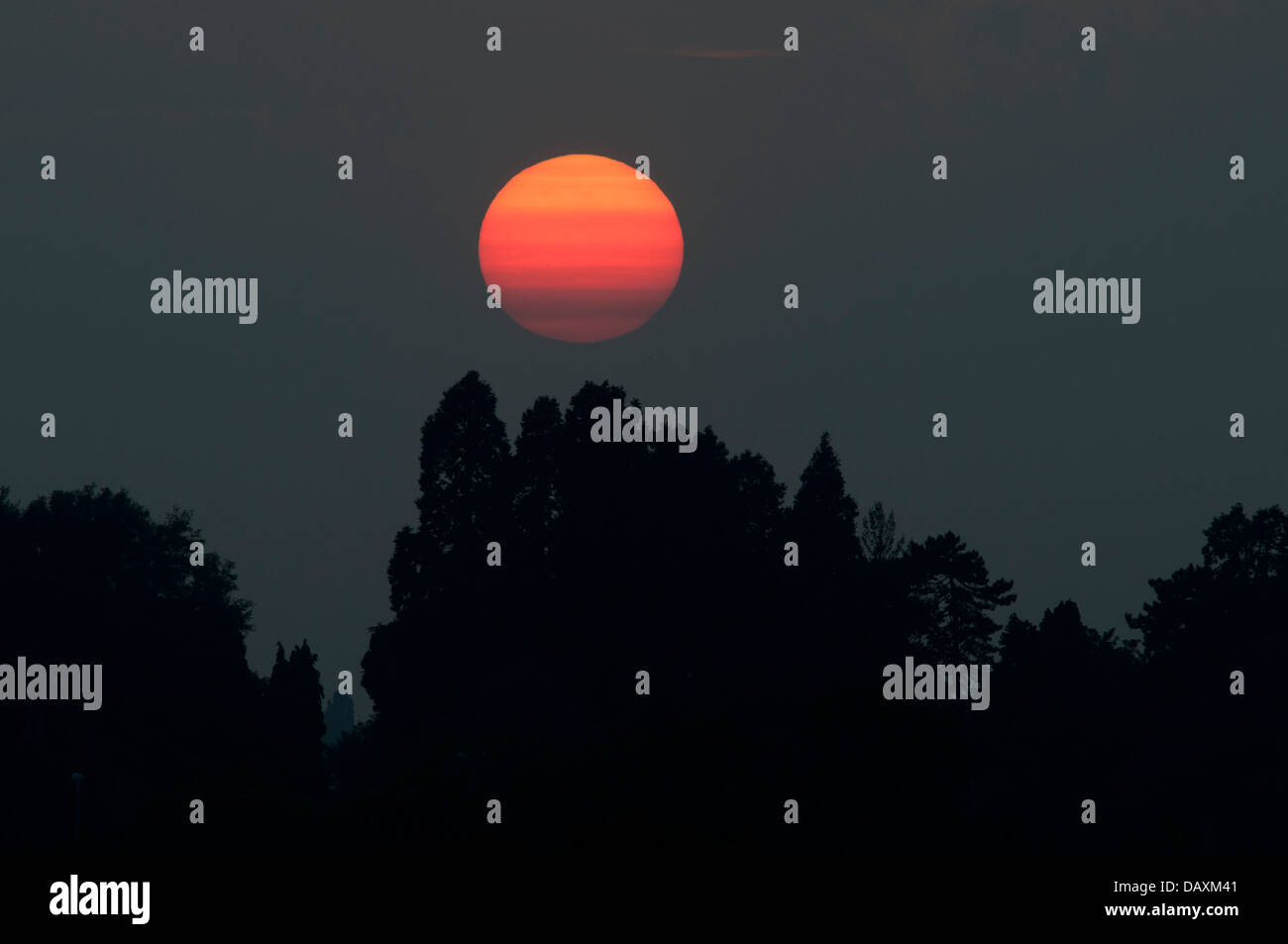 Trees with setting the sun hi-res stock photography and images - Alamy