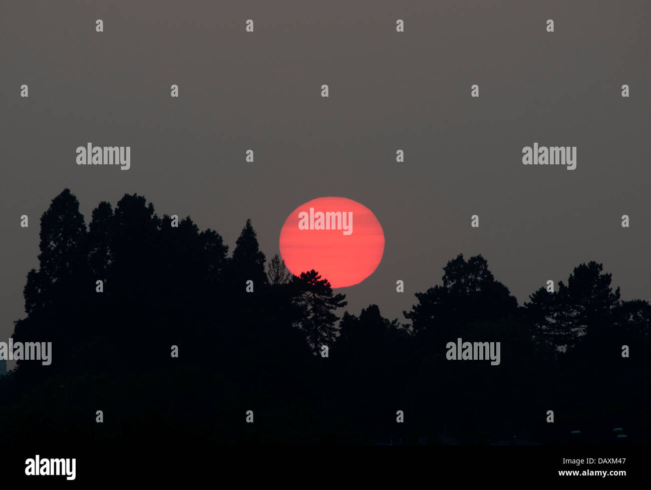 Trees with setting the sun hi-res stock photography and images - Alamy