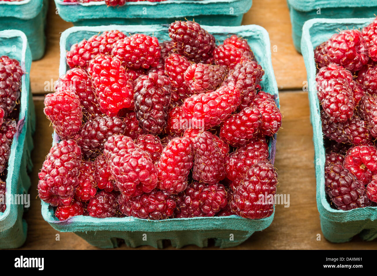 Tayberries hi-res stock photography and images - Alamy
