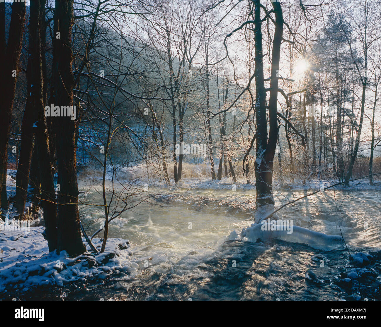 Schwarzatal with river Schwarza, Mellenbach at Glasbach, Thuringia ...