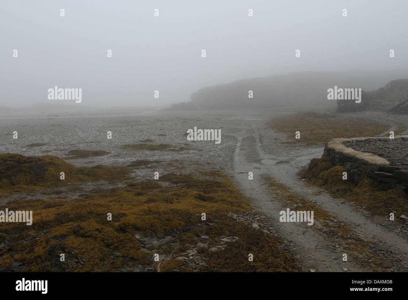 Oronsay High Resolution Stock Photography and Images - Alamy