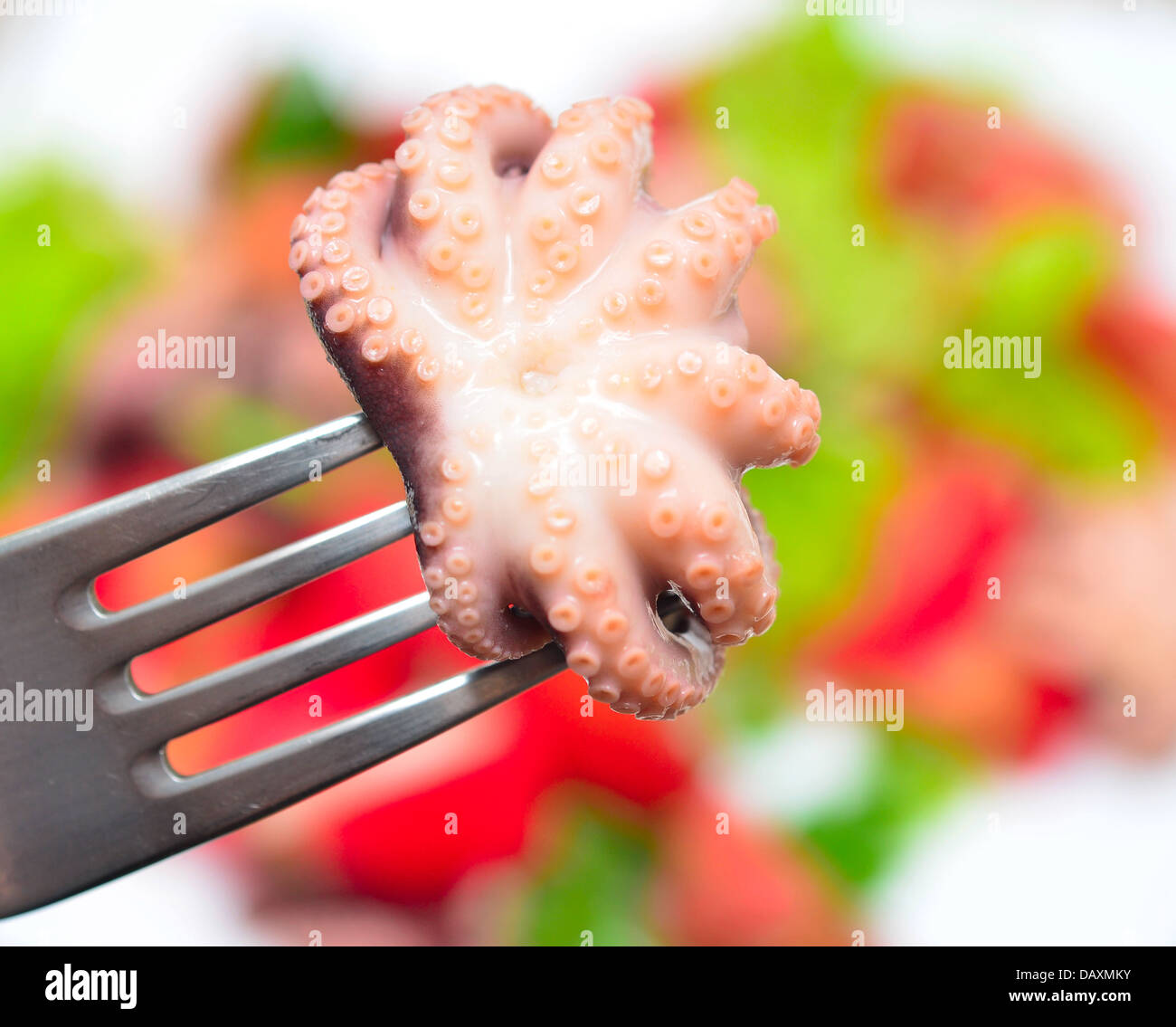 octopus on a fork against seafood salad Stock Photo - Alamy