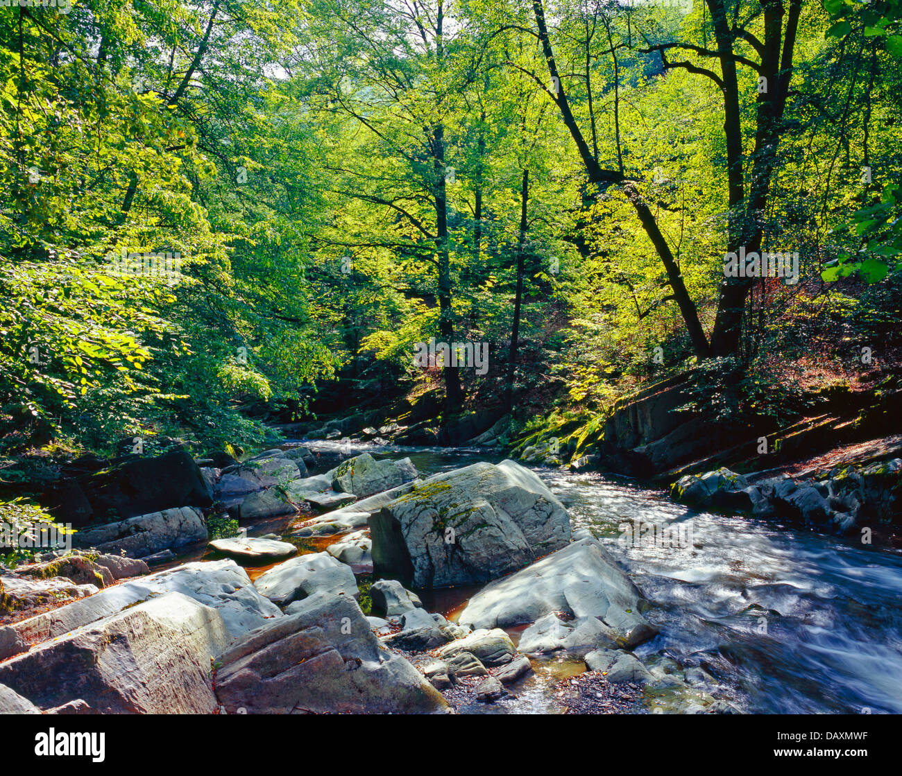 Schwarzatal with river Schwarza in Bad Blankenburg, Thuringia, Germany ...