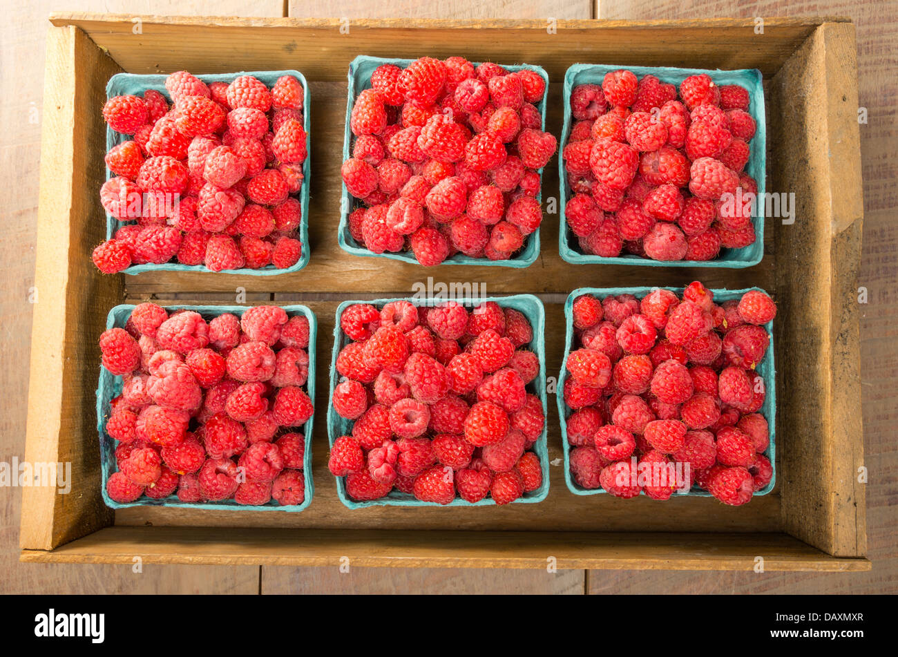 Freshly picked red raspberries on display at the farmers market Stock ...
