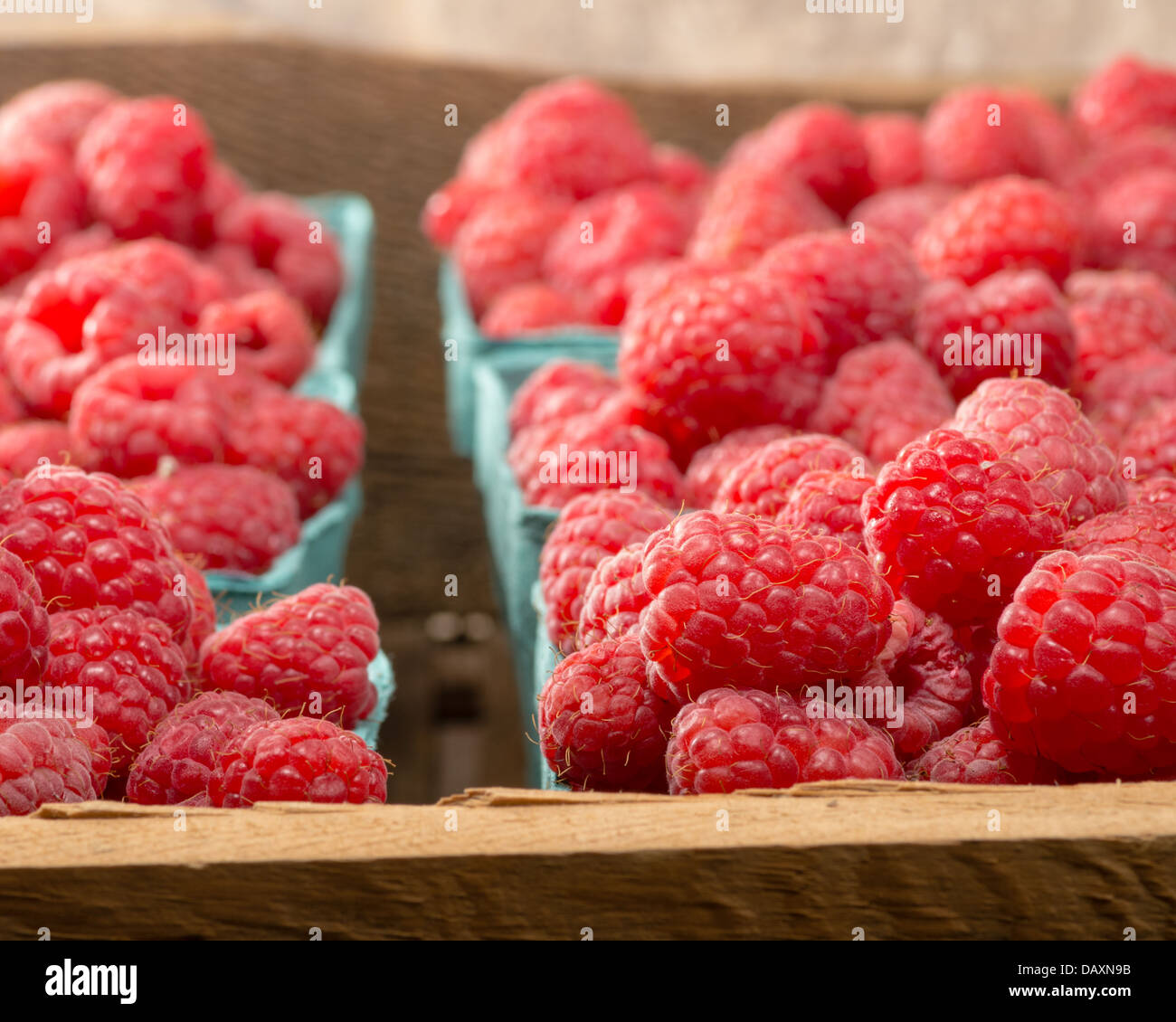Freshly picked red raspberries on display at the farmers market Stock ...