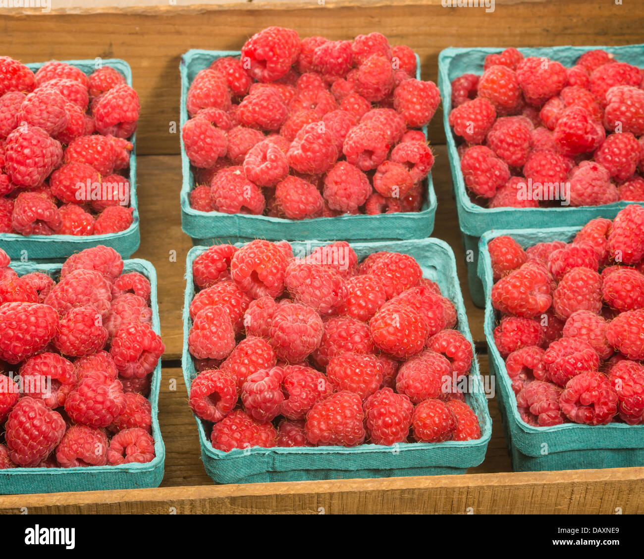 Freshly picked red raspberries on display at the farmers market Stock ...