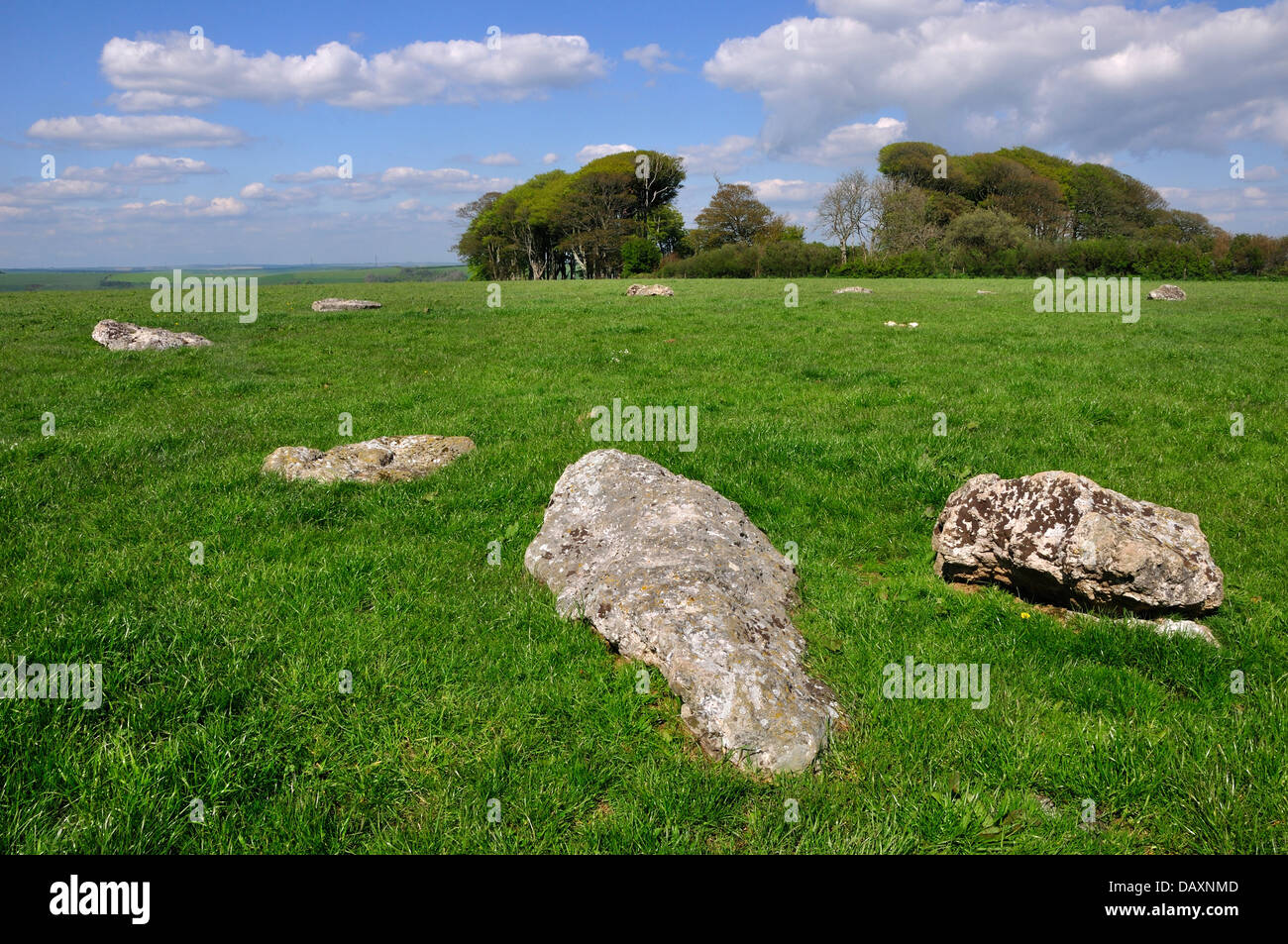 A view of the stone circle monument at Kingston Russel Dorset UK Stock ...
