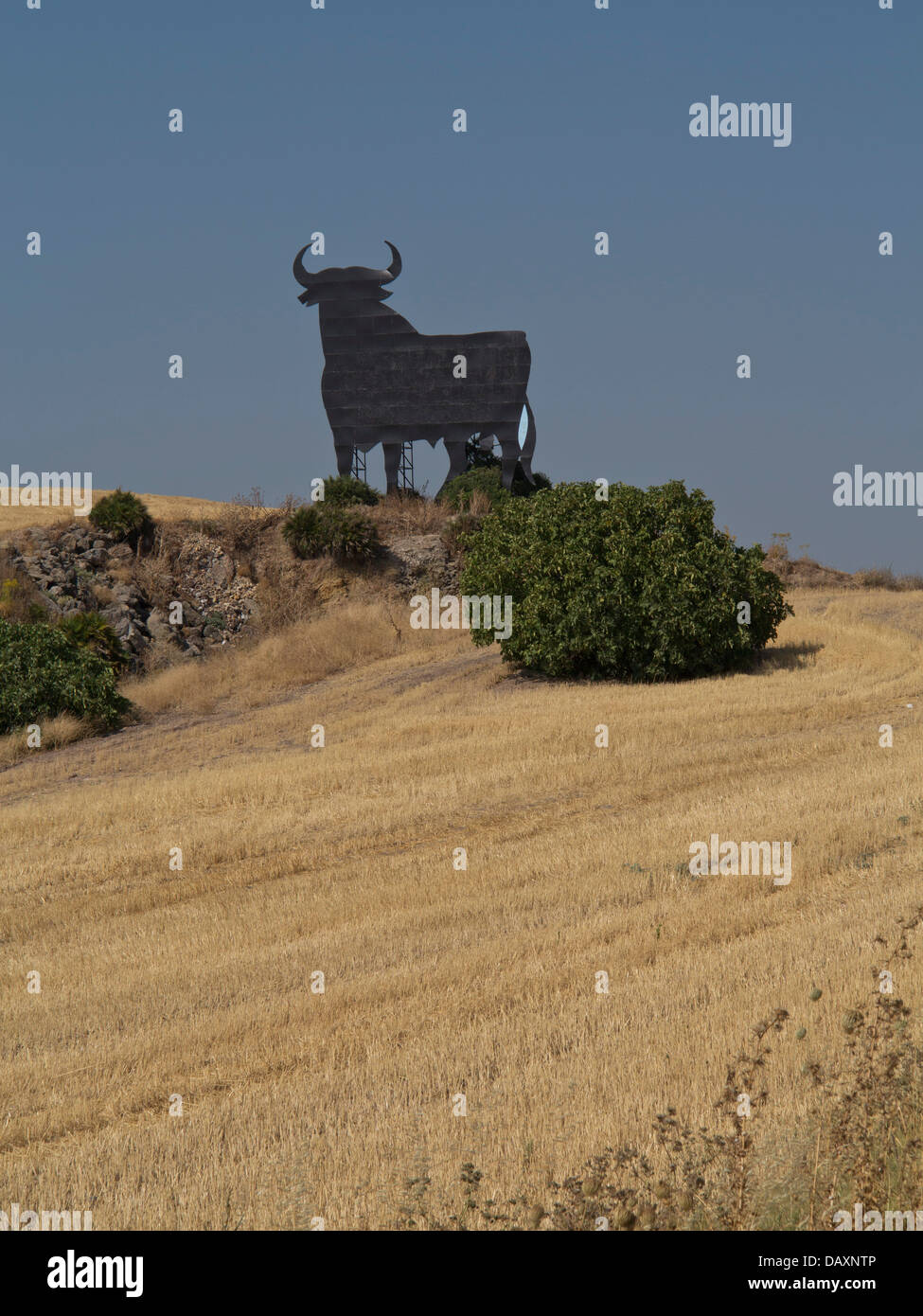 A rare example of one of the last Osborne Bull images in the ...