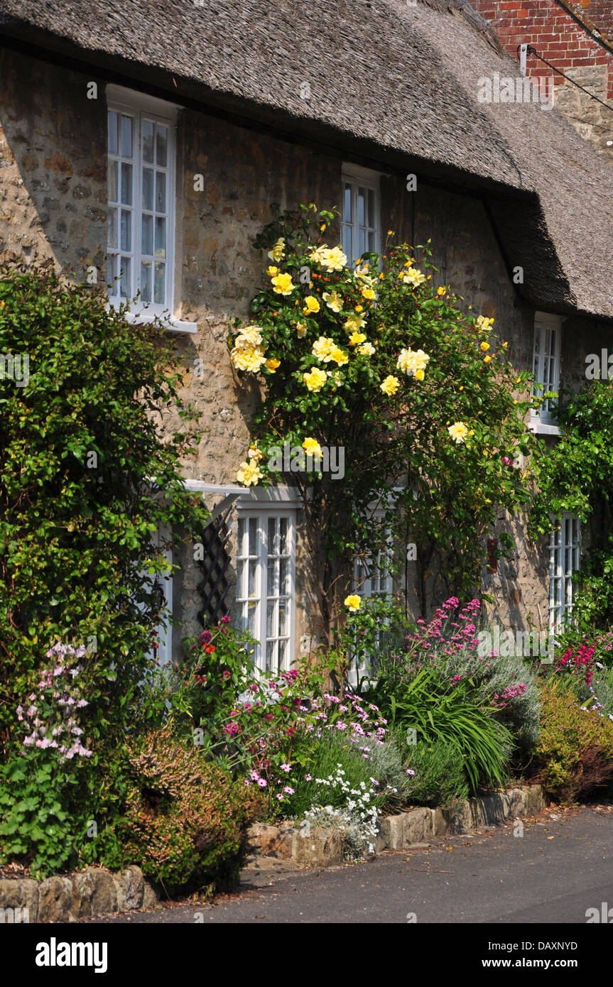 Cottage summer rose hi-res stock photography and images - Alamy