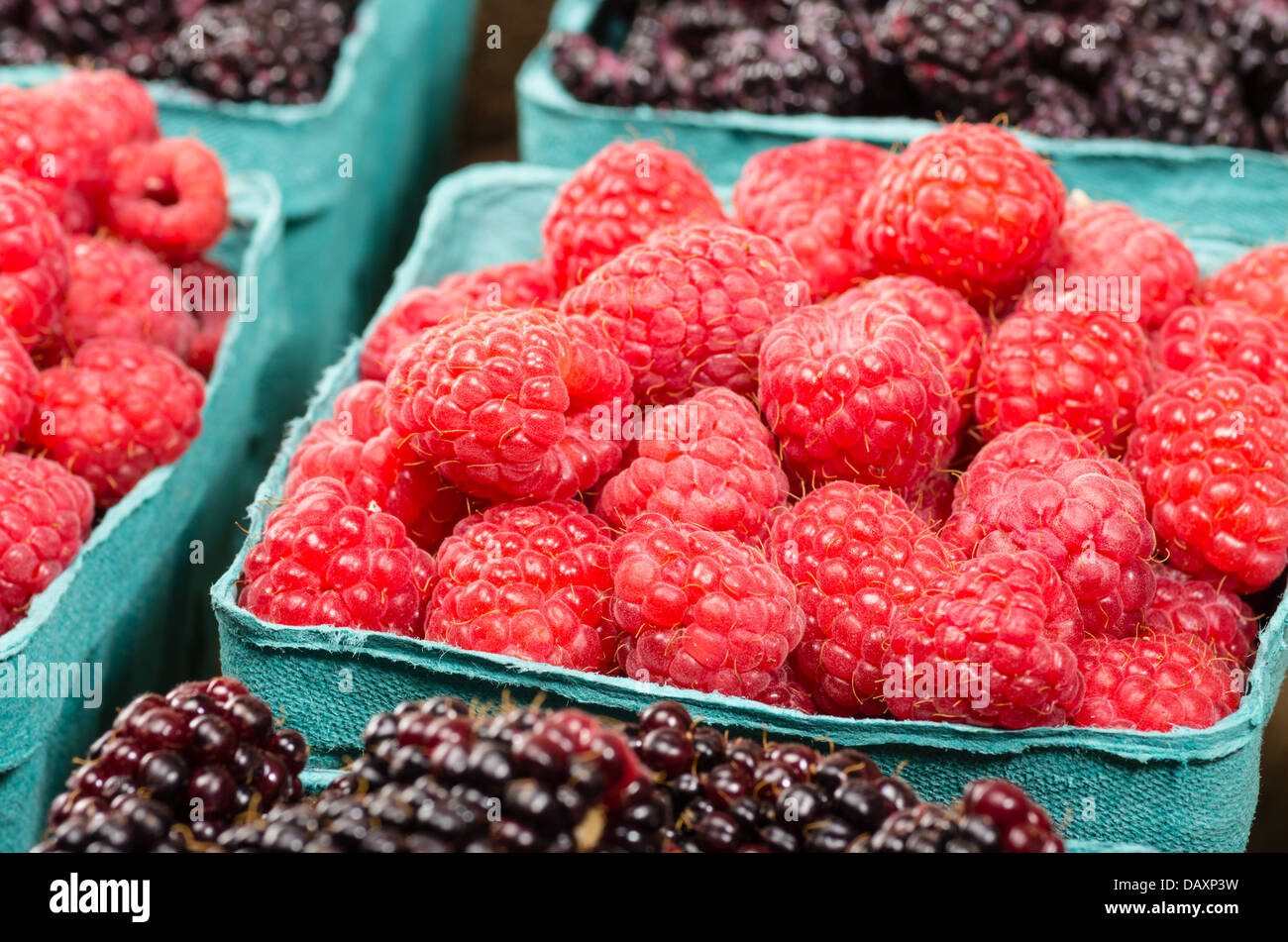 A basket of fresh red raspberries on display at the market Stock Photo ...