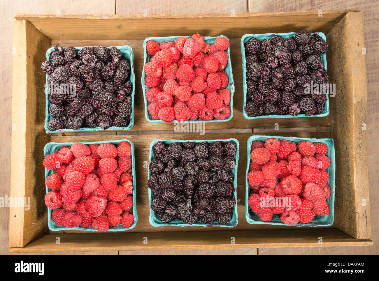 A wooden box with baskets of red raspberries and black raspberries ...