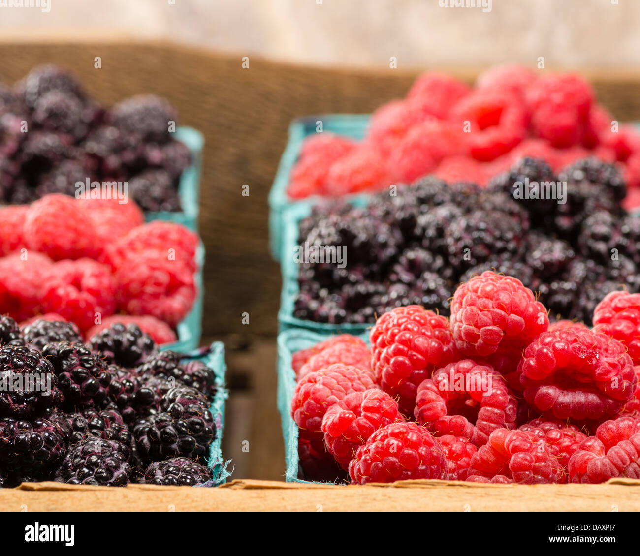 A wooden box with baskets of red raspberries and black raspberries ...