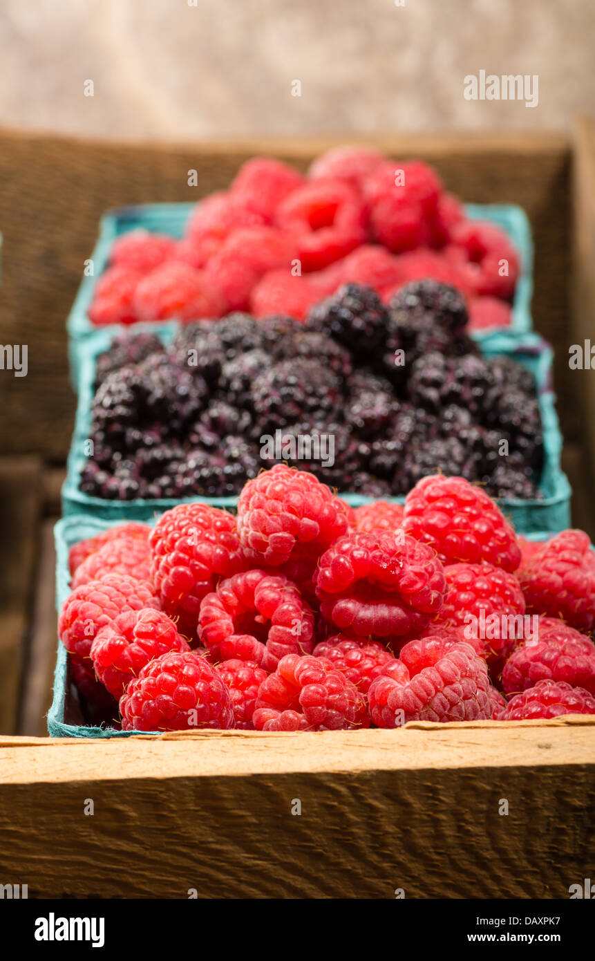 A wooden box with baskets of red raspberries and black raspberries ...