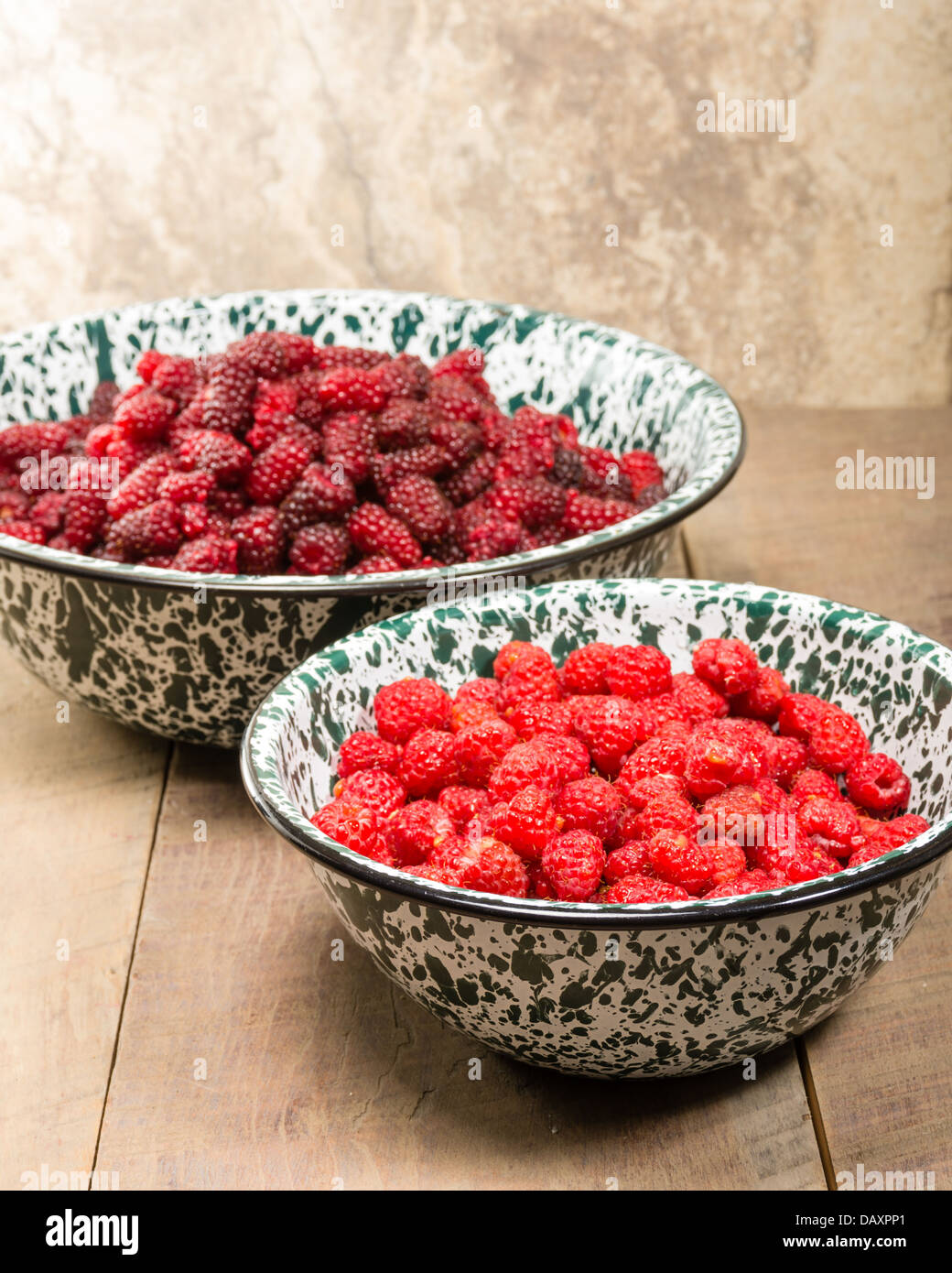 Bowls of red raspberries and tayberries ready to process into jam or ...
