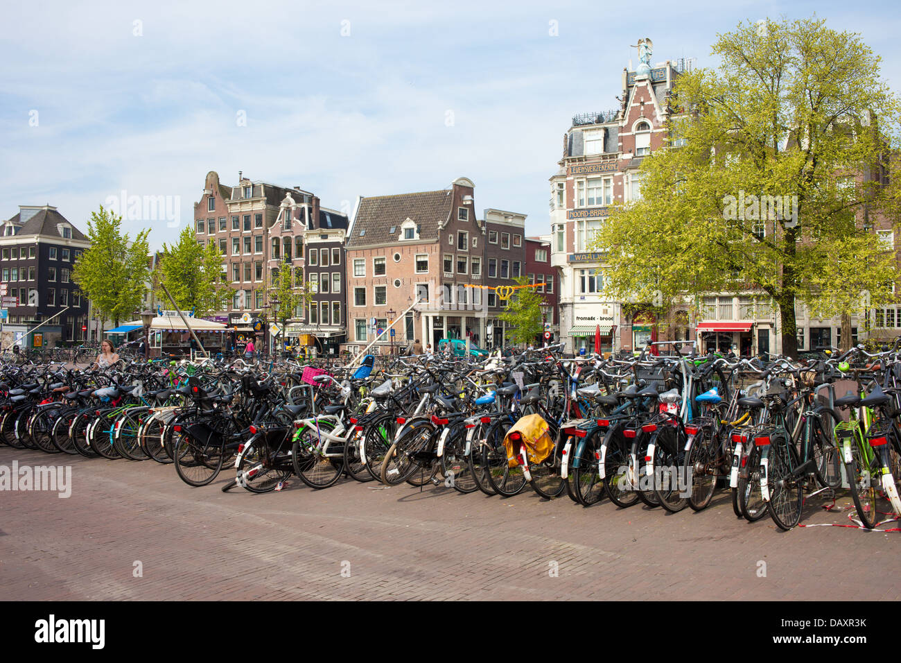 Bikes along the canal in the city of Amsterdam in Netherlands Stock ...