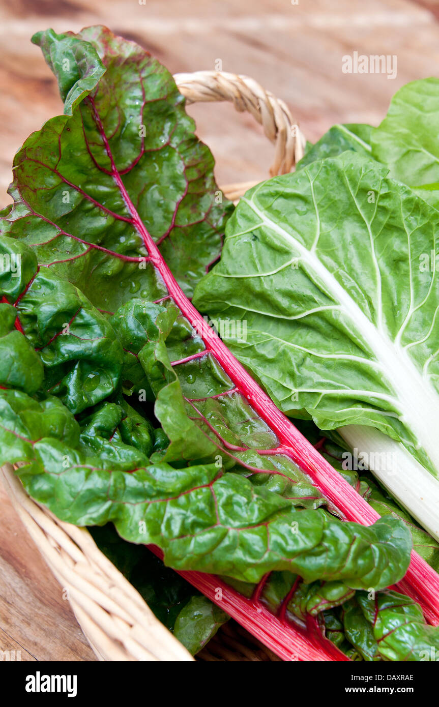 Red chard leaves hi-res stock photography and images - Alamy