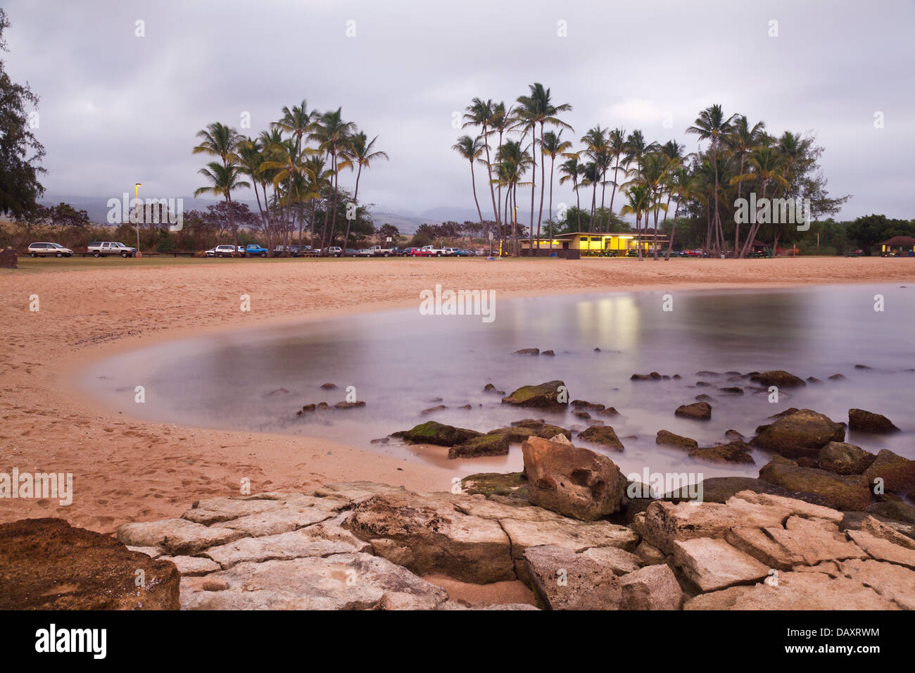 Salt rock palm tree hi-res stock photography and images - Alamy