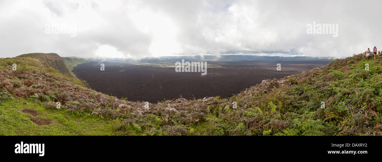 Crater, Caldera, Volcan Sierra Negra, Isabela Island, Galapagos Islands ...