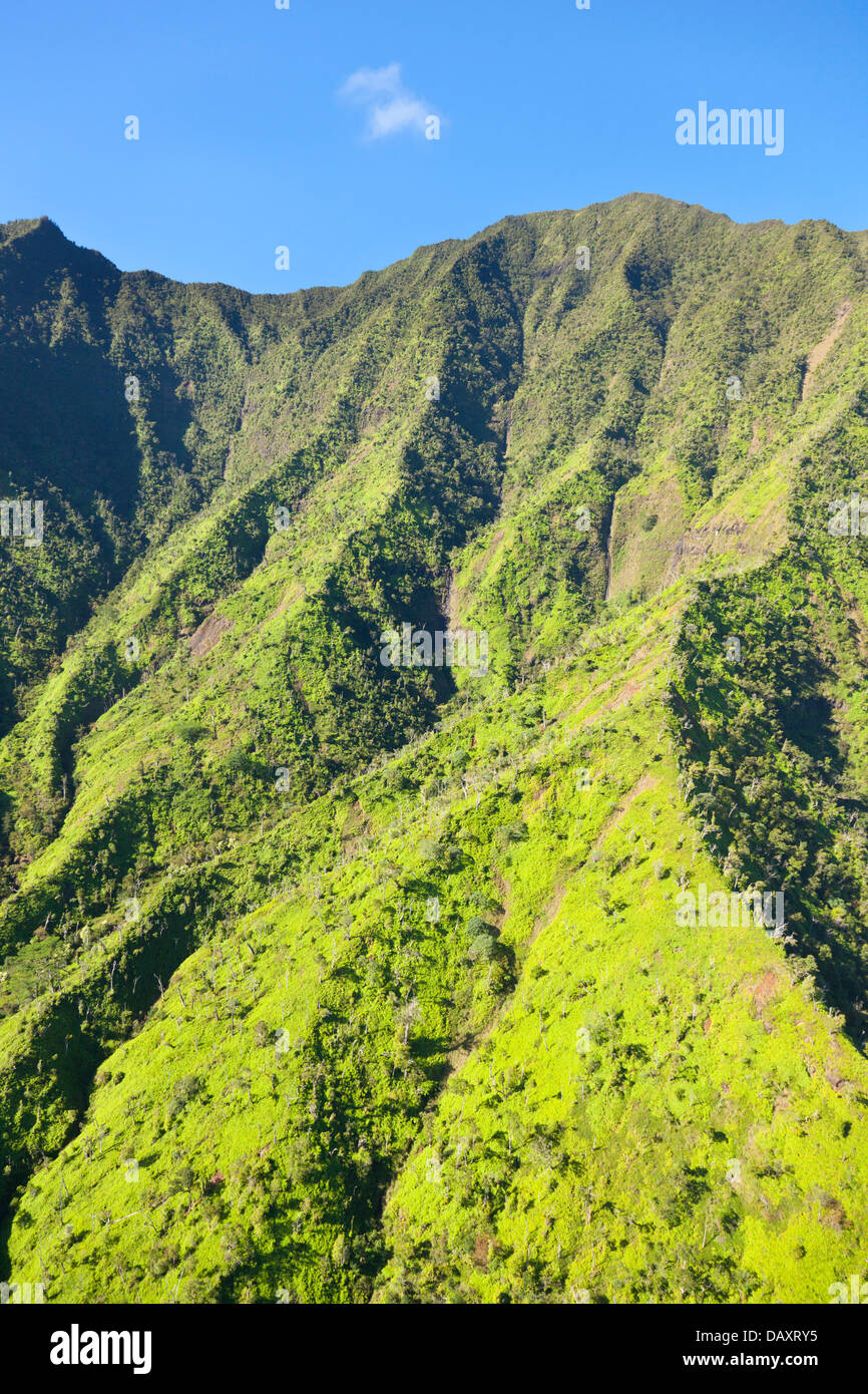 Stunning green rainforest landscape in the center of Kauai, Hawaii ...