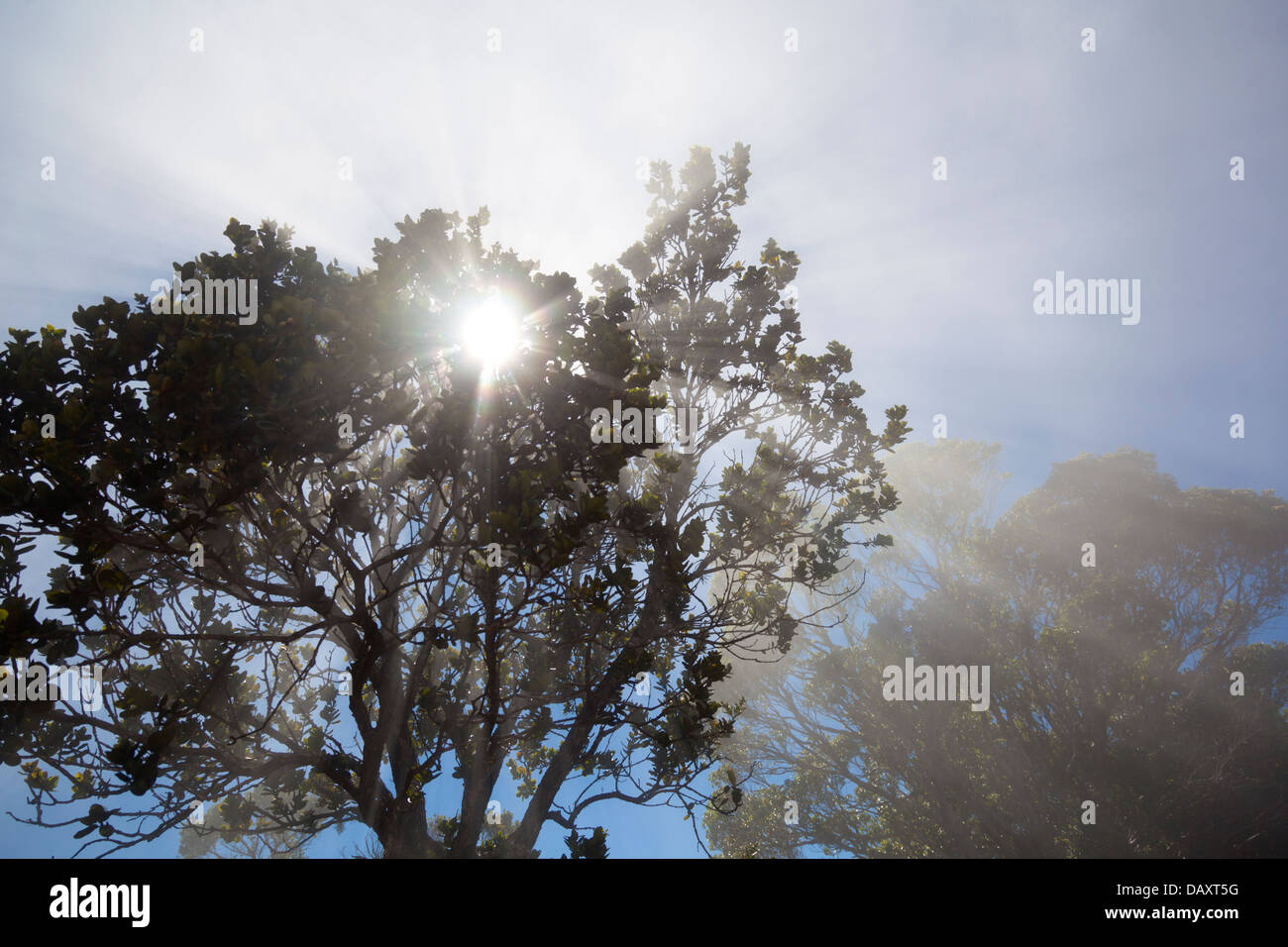 Sun through the mist hi-res stock photography and images - Alamy
