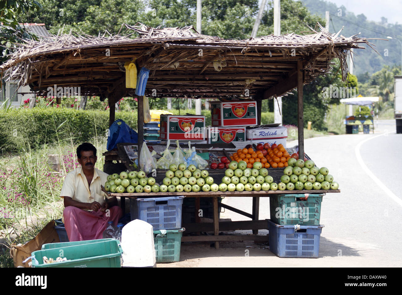 GUAVA FRUIT STALL KANDY SRI LANKA 12 March 2013 Stock Photo - Alamy