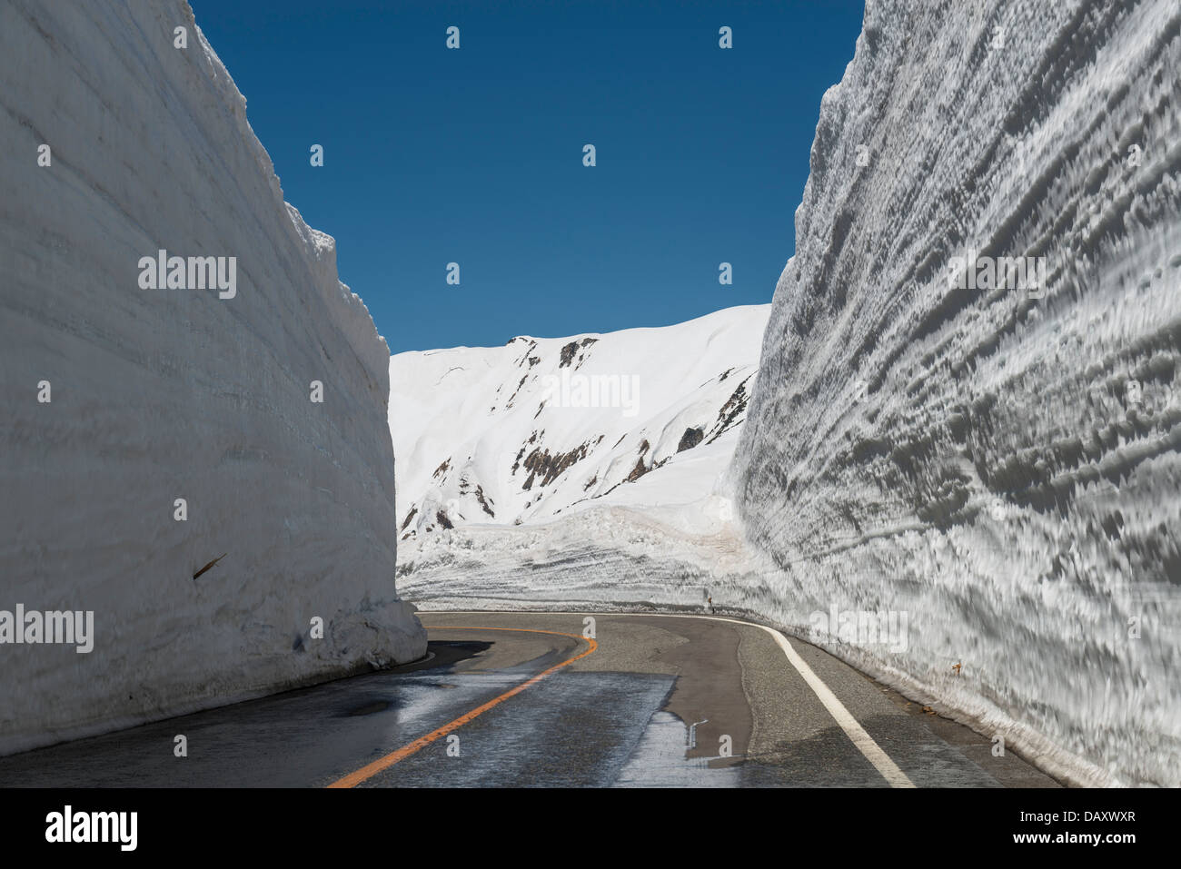 Snow Corridor near the Summit at Murodo on the Tateyama Kurobe Alpine ...