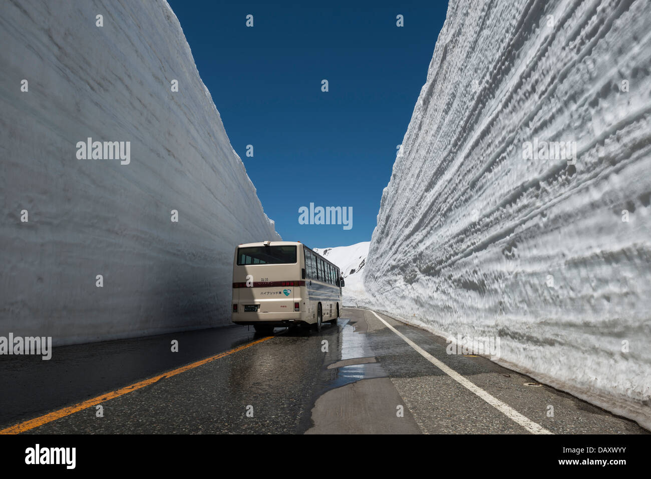 Snow Corridor near the Summit at Murodo on the Tateyama Kurobe Alpine ...