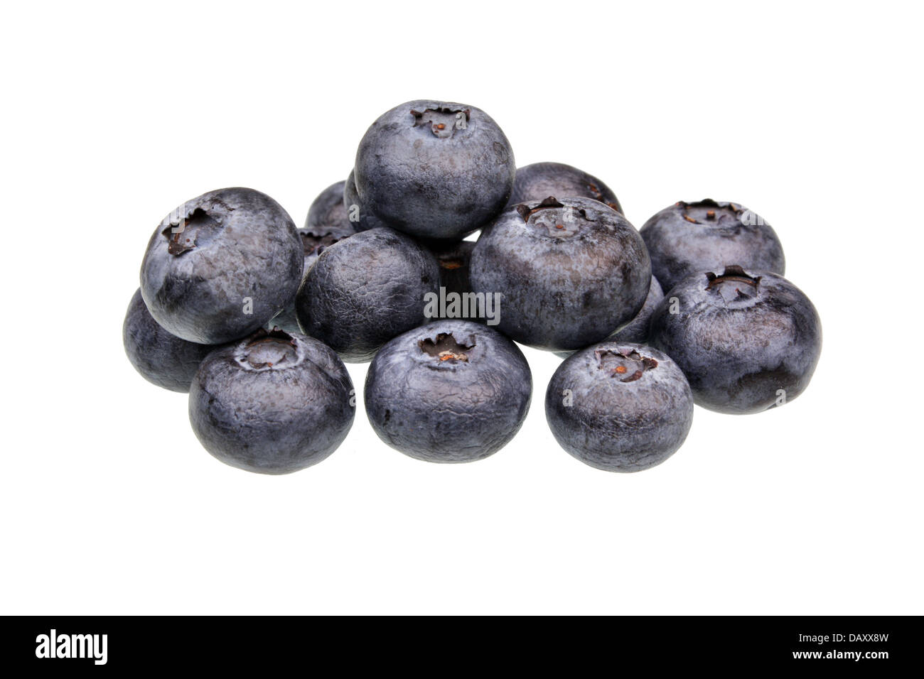 blueberry jam jelly food garden fruit plant texture pattern farm fresh ...
