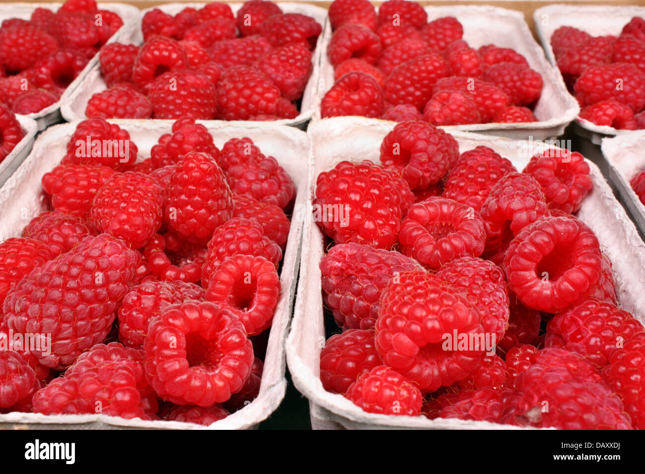 basket box container cardboard paper raspberries red entree dessert jam ...