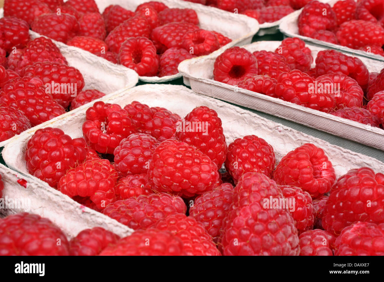 basket box container cardboard paper raspberries red entree dessert jam ...
