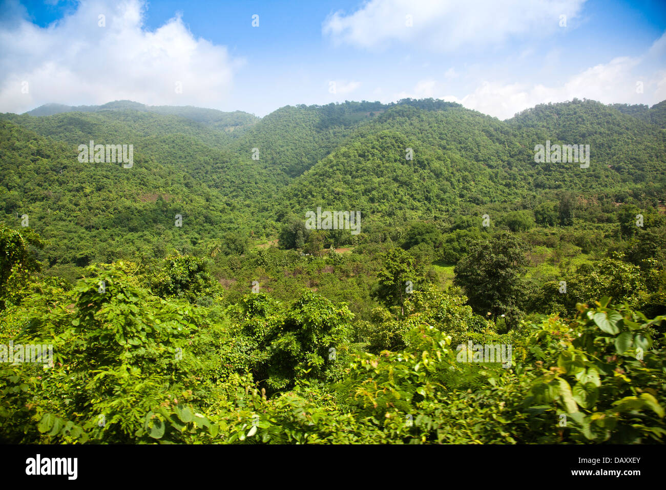 Andhra pradesh araku valley hi-res stock photography and images - Alamy