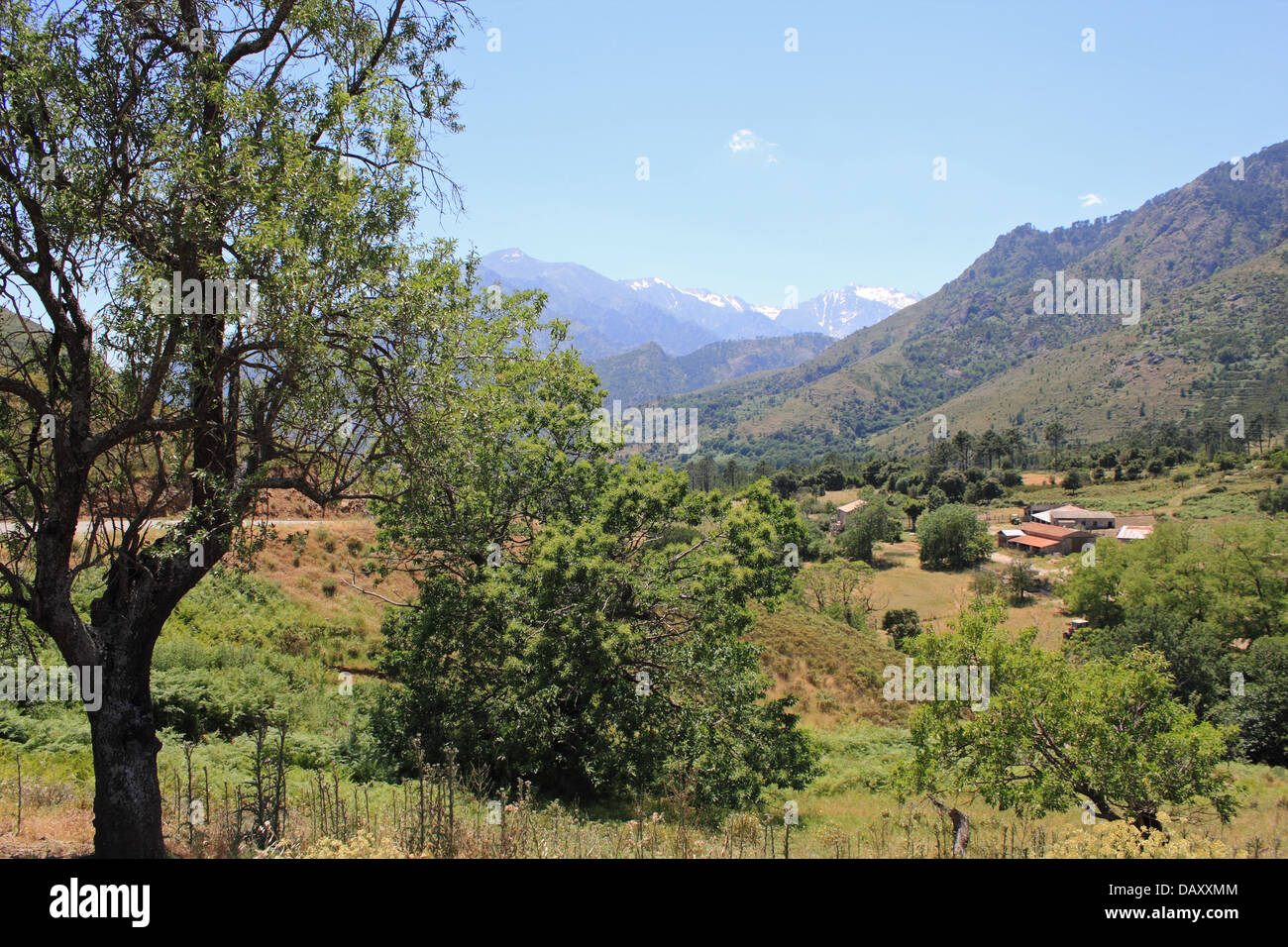 The unspoilt countryside north of Corte, Corsica, France Stock Photo ...