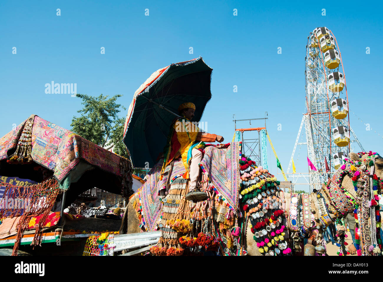 Camel cart ride hi-res stock photography and images - Alamy