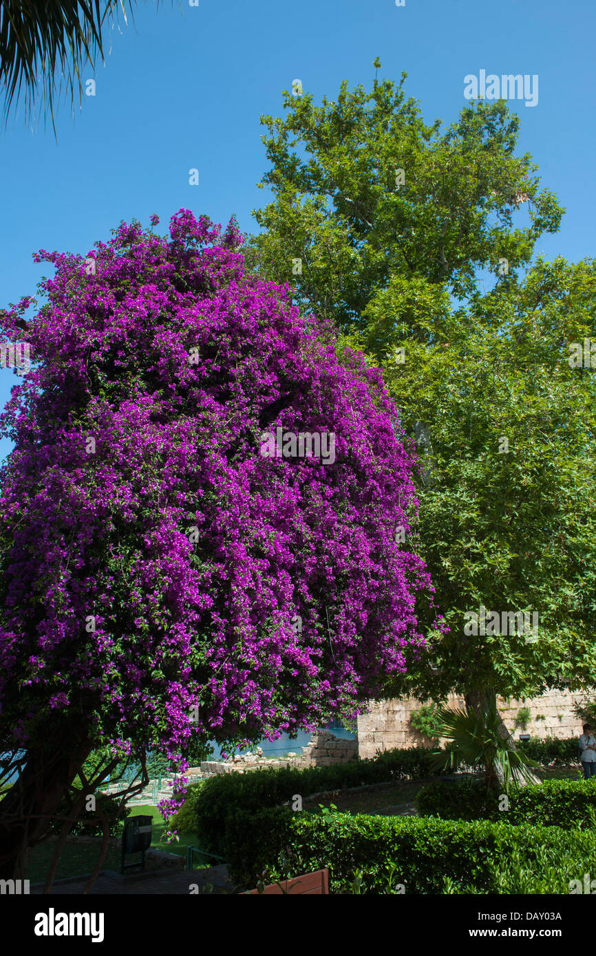 Karaalioglu park antalya hi-res stock photography and images - Alamy