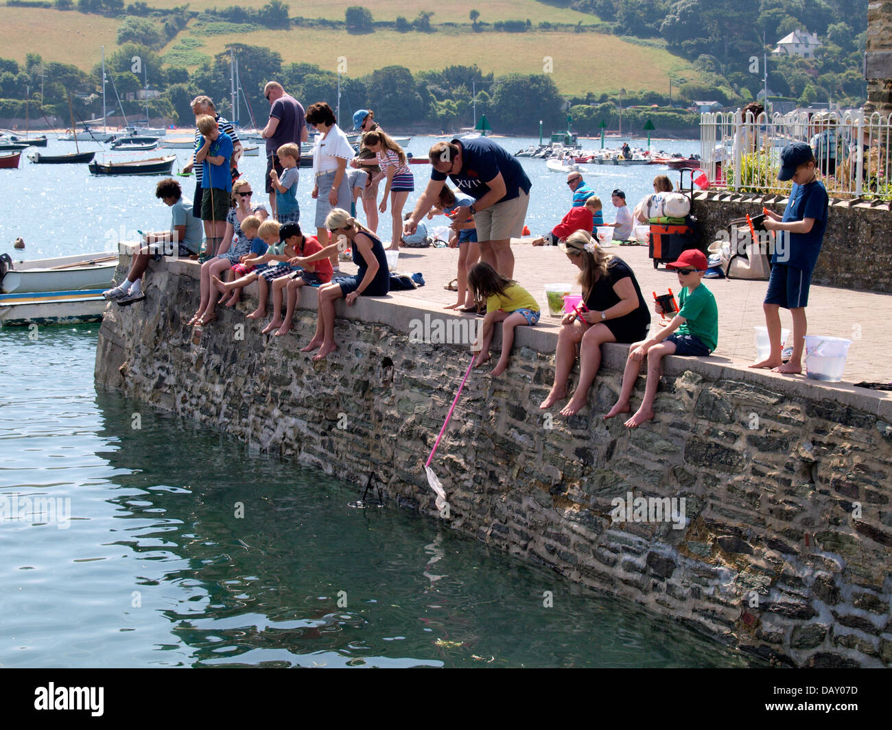 Crab fishing in the harbour at Salcombe, Devon, UK 2013 Stock Photo - Alamy