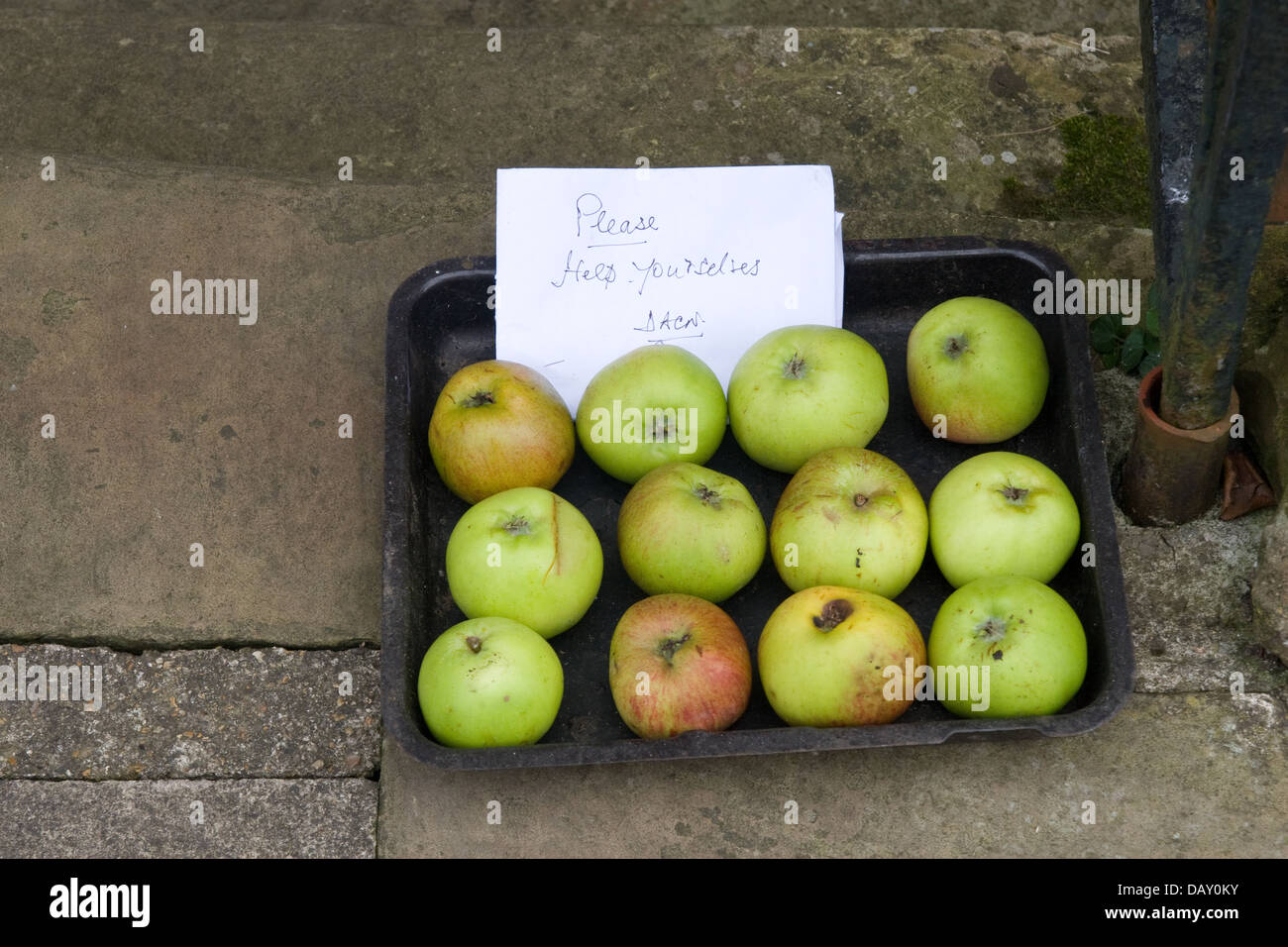 Home grown apples available free from house in southern england Stock ...