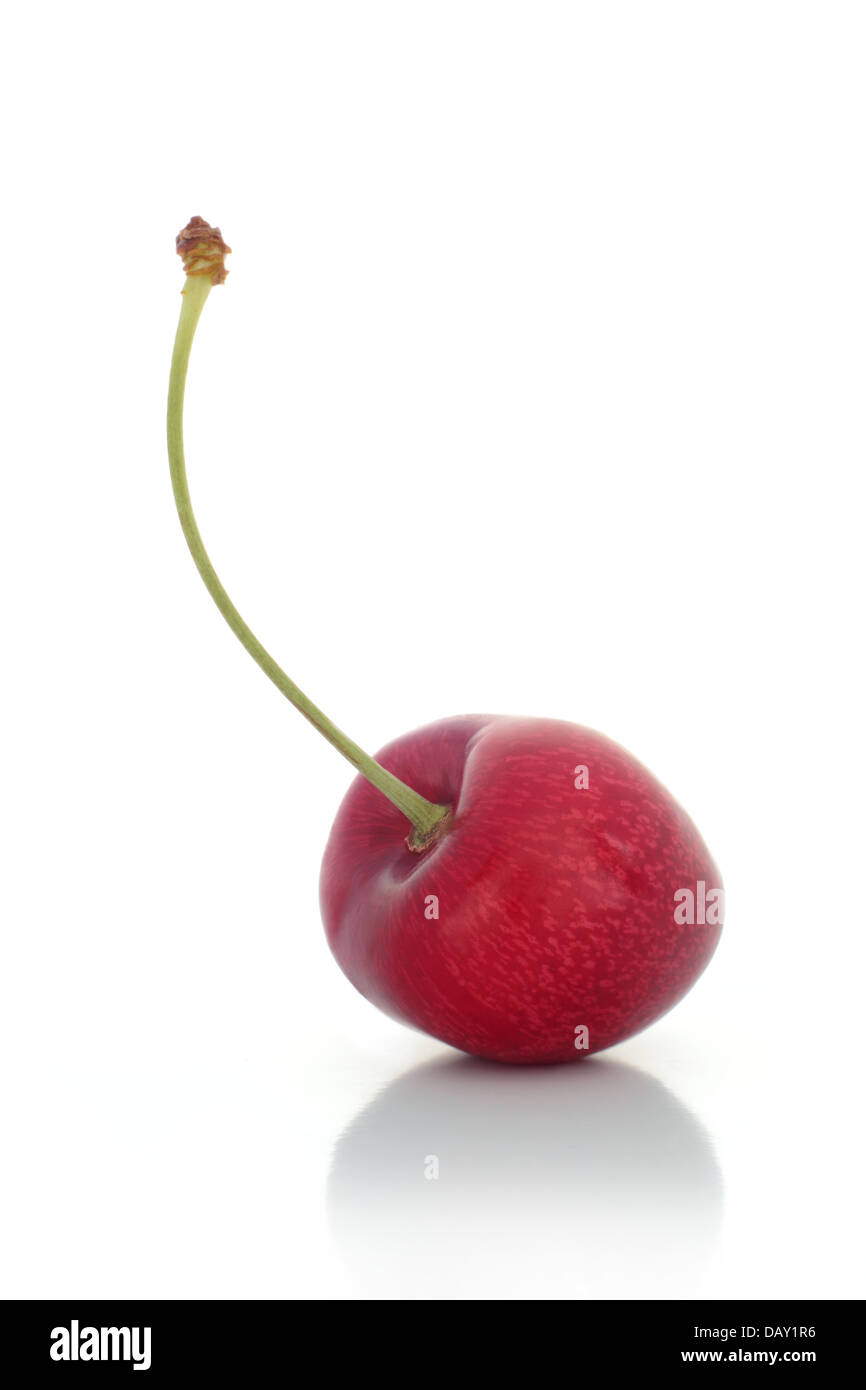 Single Cherry on a white background Stock Photo - Alamy