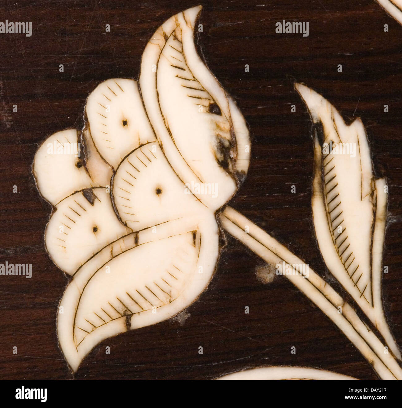 Fall Front Cabinet Stock Photos & Fall Front Cabinet Stock Images - Alamy