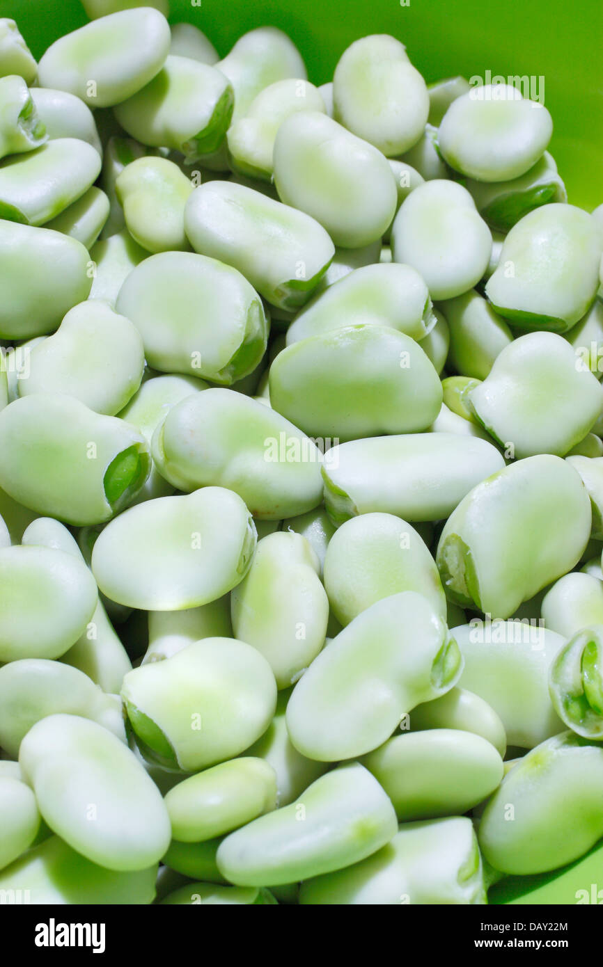 Closeup of fresh fava beans Stock Photo - Alamy