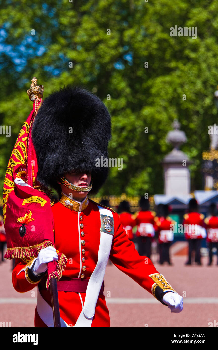 Changing of the guard ceremony held inside the grounds of Buckingham ...