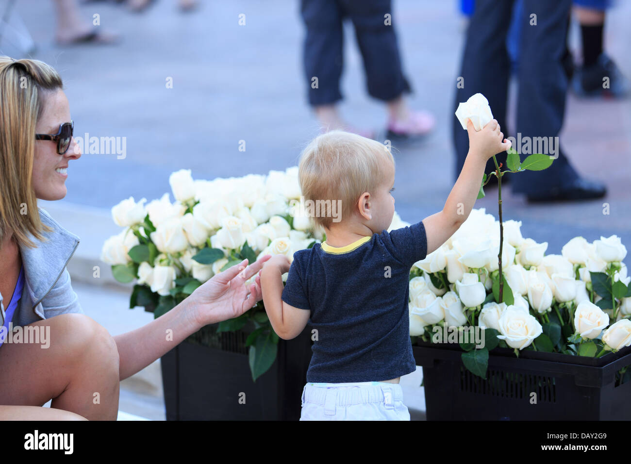 Aurora Crying High Resolution Stock Photography and Images - Alamy