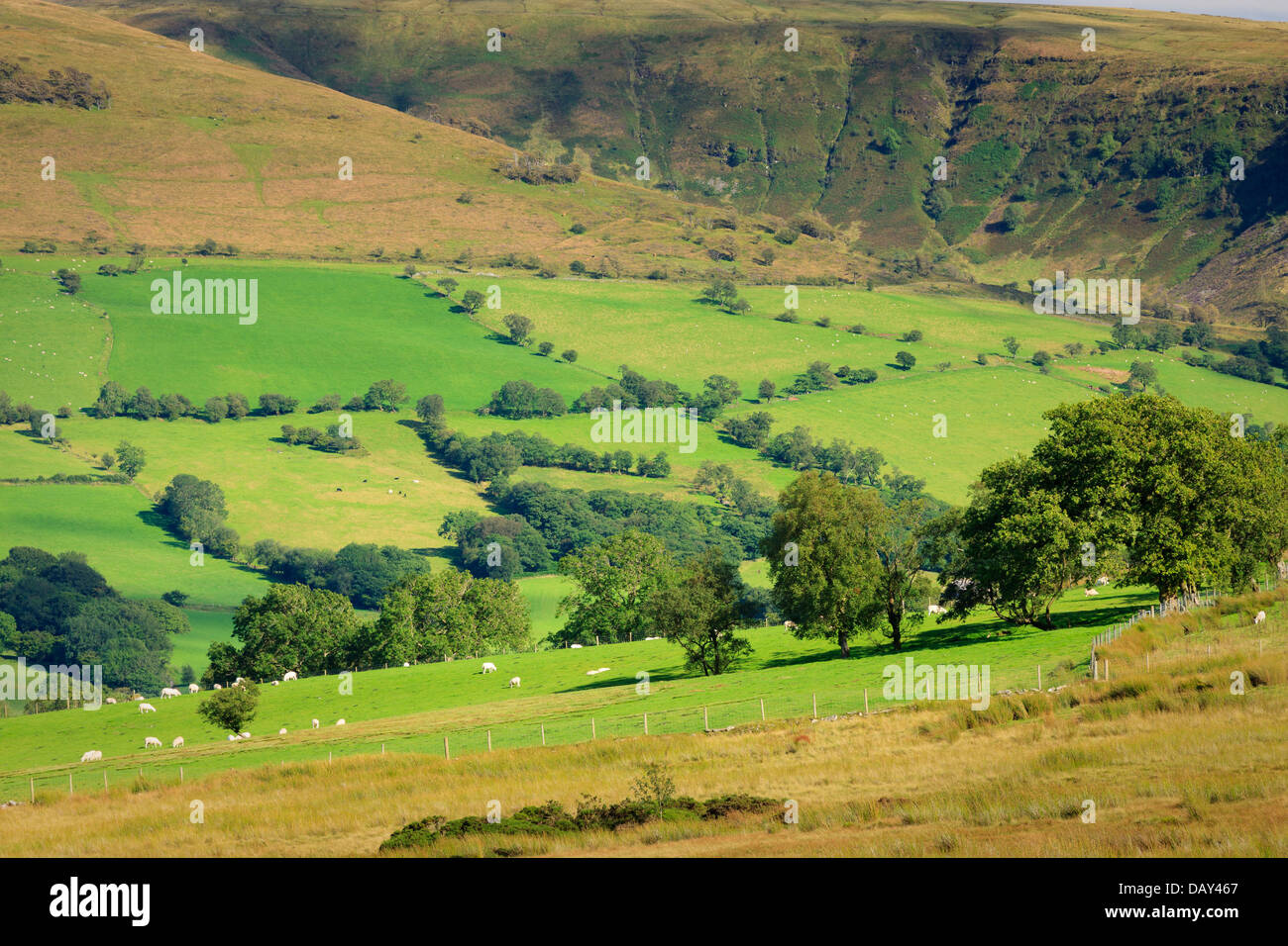 Senni Valley near Sennybridge Brecon Beacons Powys Wales Stock Photo ...