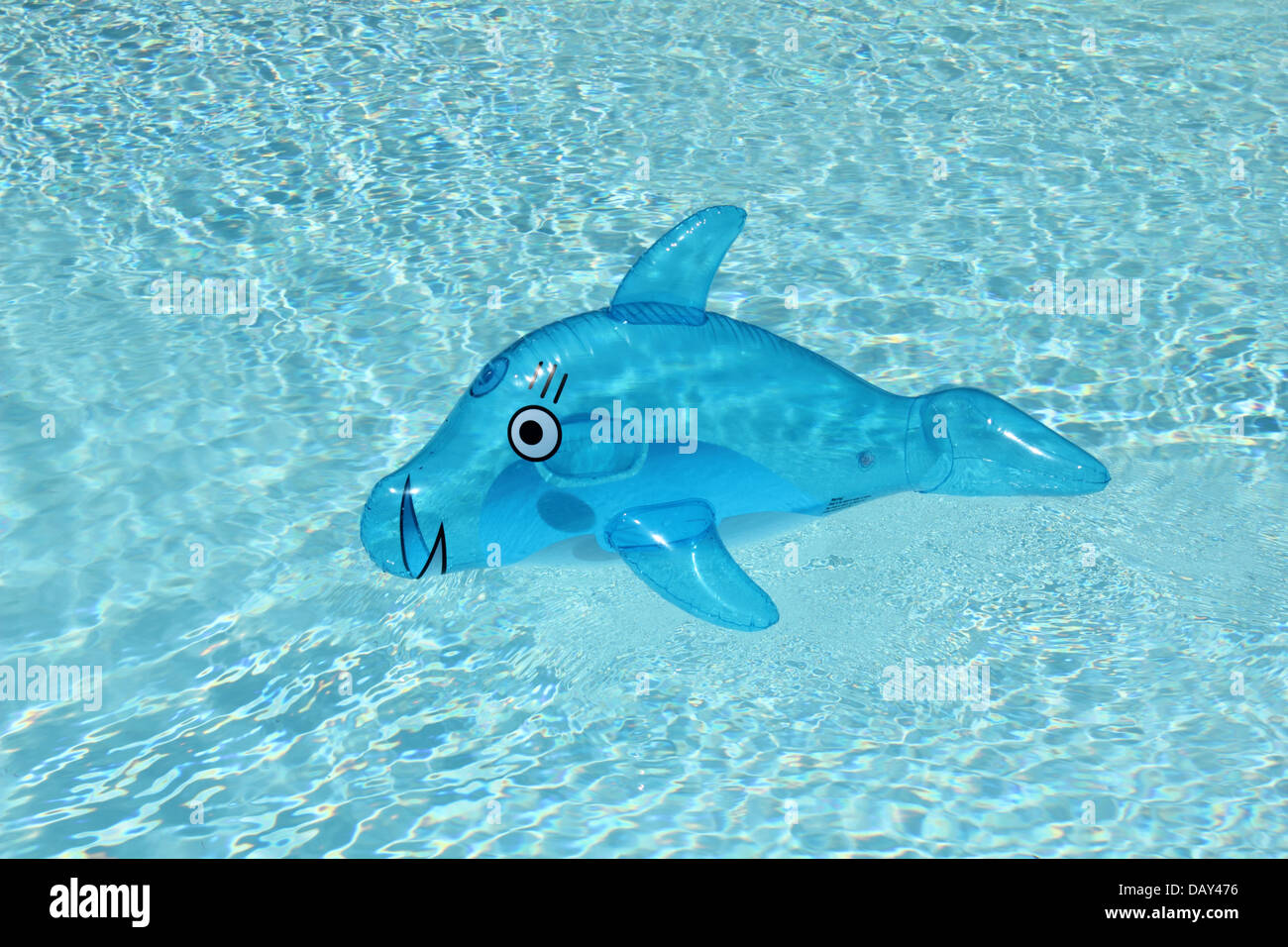 Inflatable dolphin floating in pool Stock Photo - Alamy