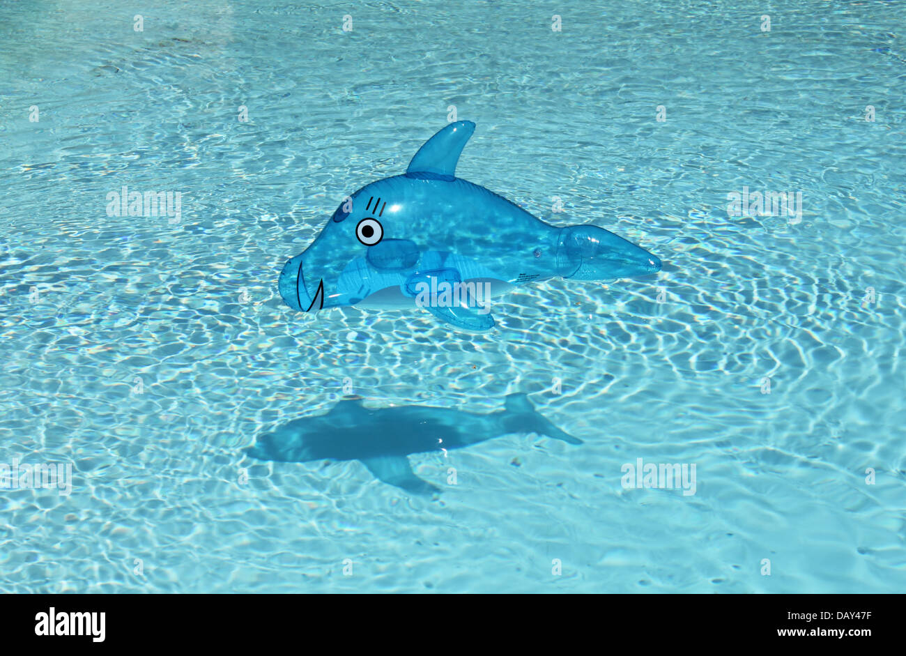 Inflatable dolphin floating in pool Stock Photo - Alamy