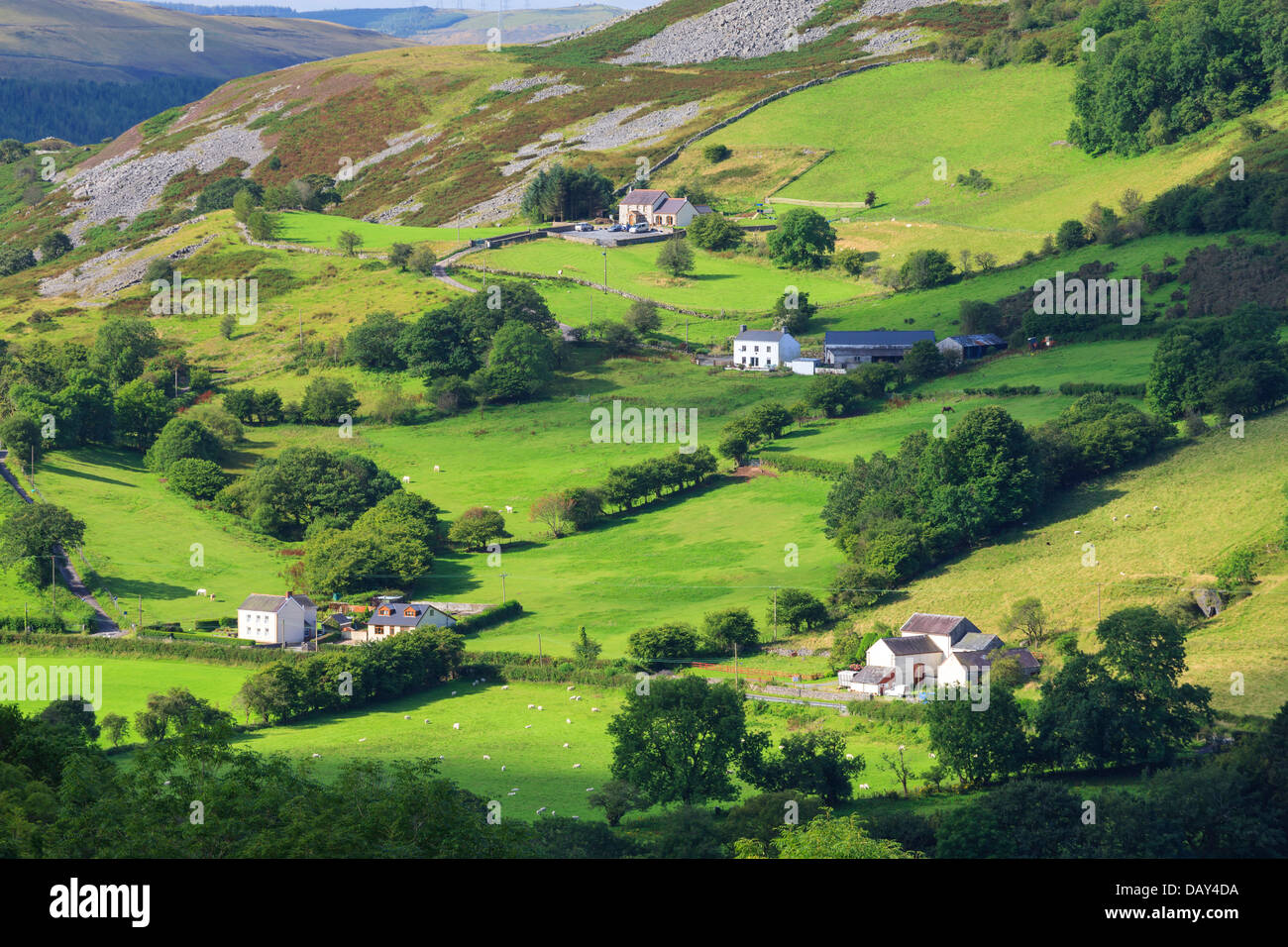 Tawe hi-res stock photography and images - Alamy