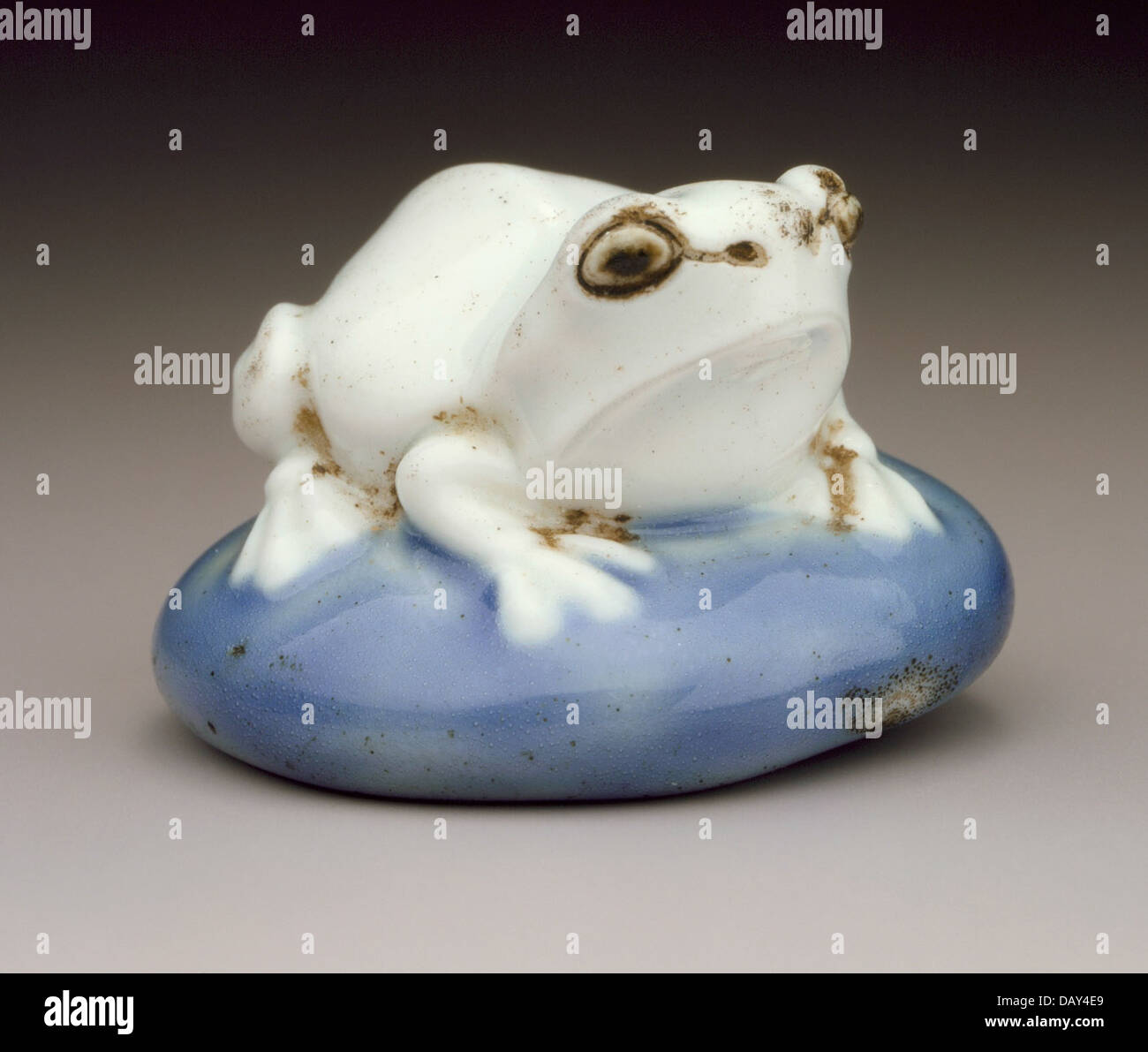 Toadstool frog hi-res stock photography and images - Alamy