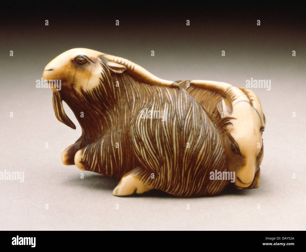 Ivory goat hi-res stock photography and images - Alamy
