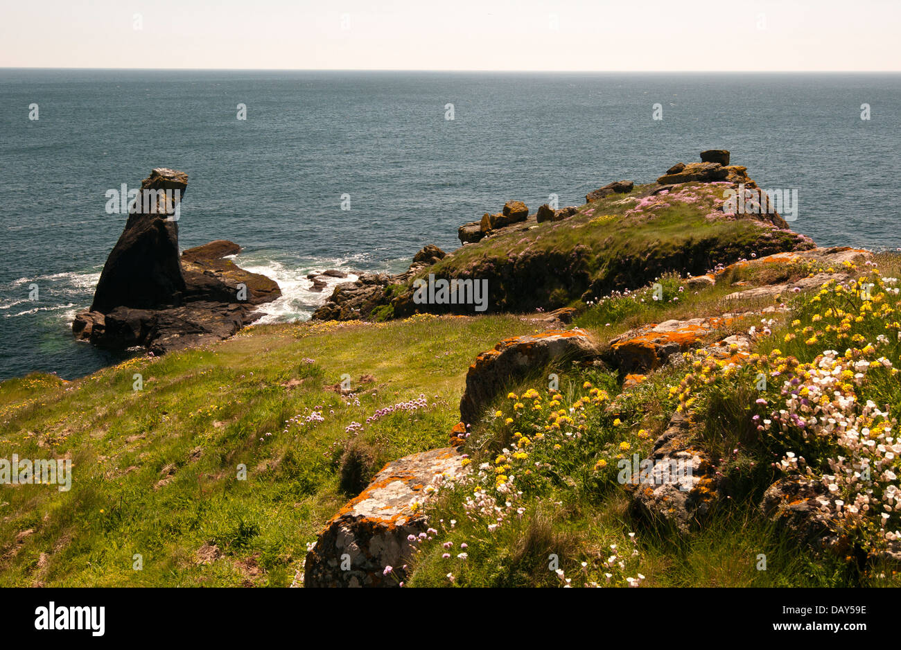 Housel Bay Lizard Peninsula Cornwall England UK Stock Photo - Alamy