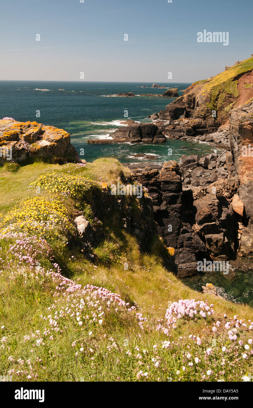 Lizard peninsula spring hi-res stock photography and images - Alamy